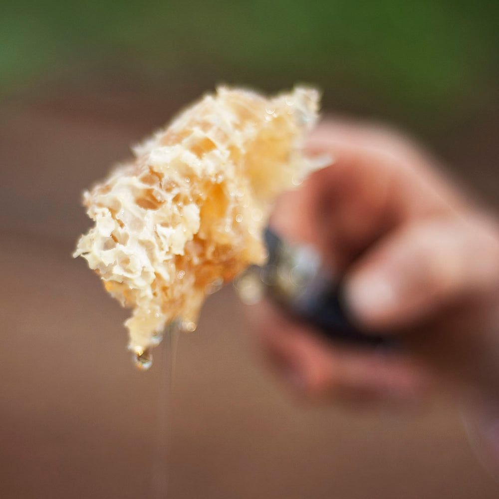 1922 Blend Handmade Bar Soap – lavender, cedarwood and citrus bar soap